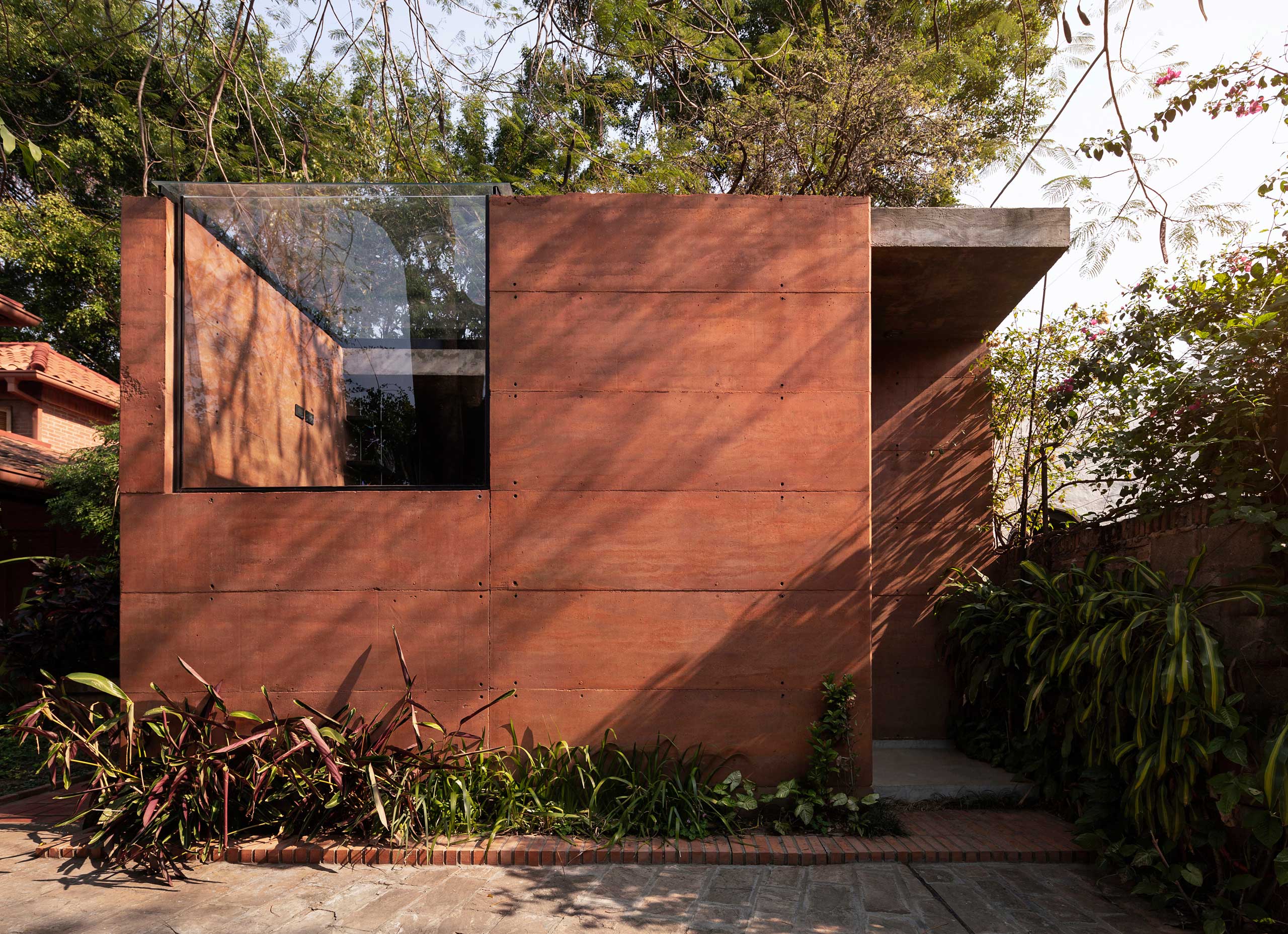 A rammed-earth and glass construction surrounds two trees for a ...