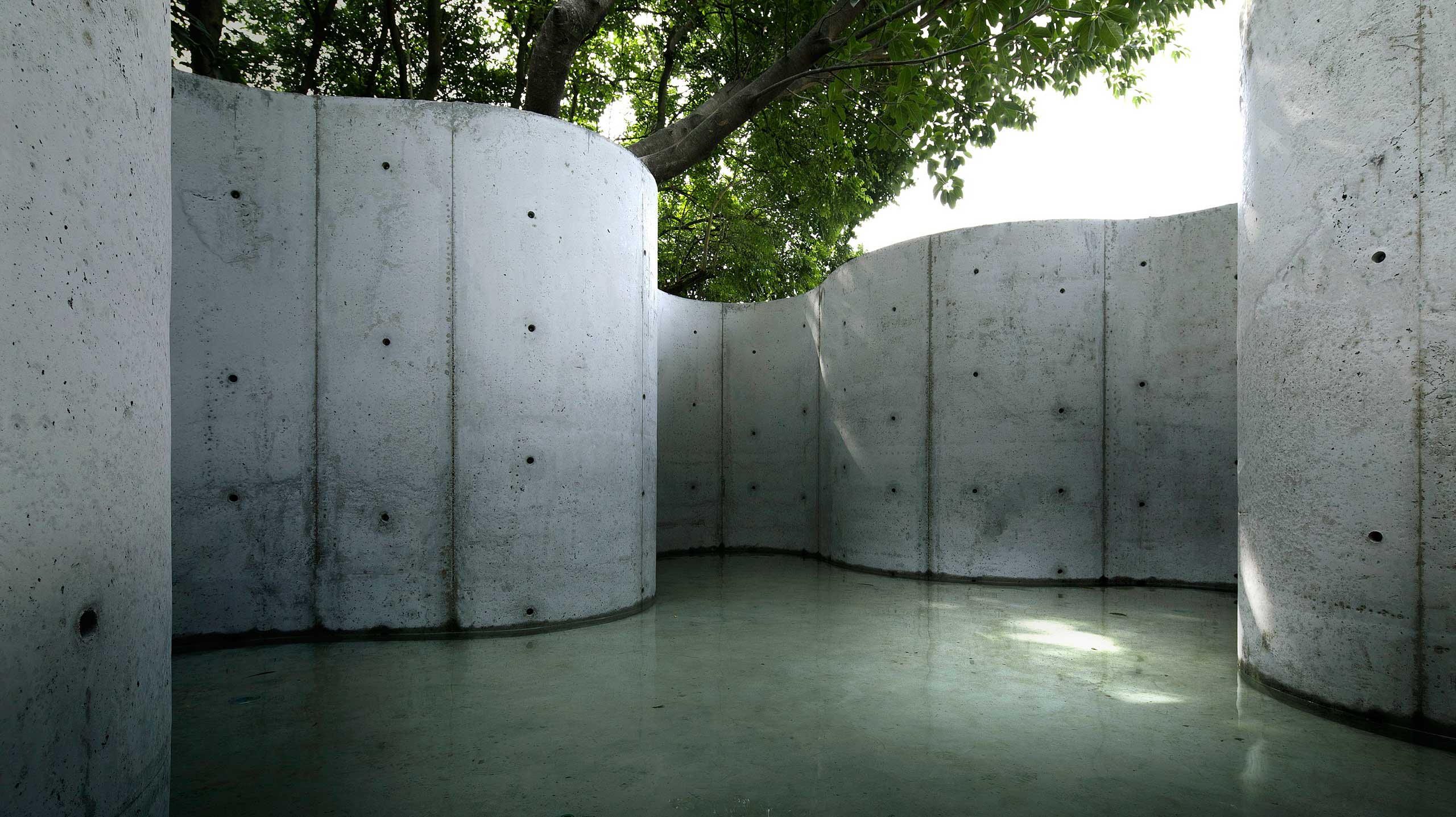 TAOA architects’ artistic installation celebrates the nature of empty ...