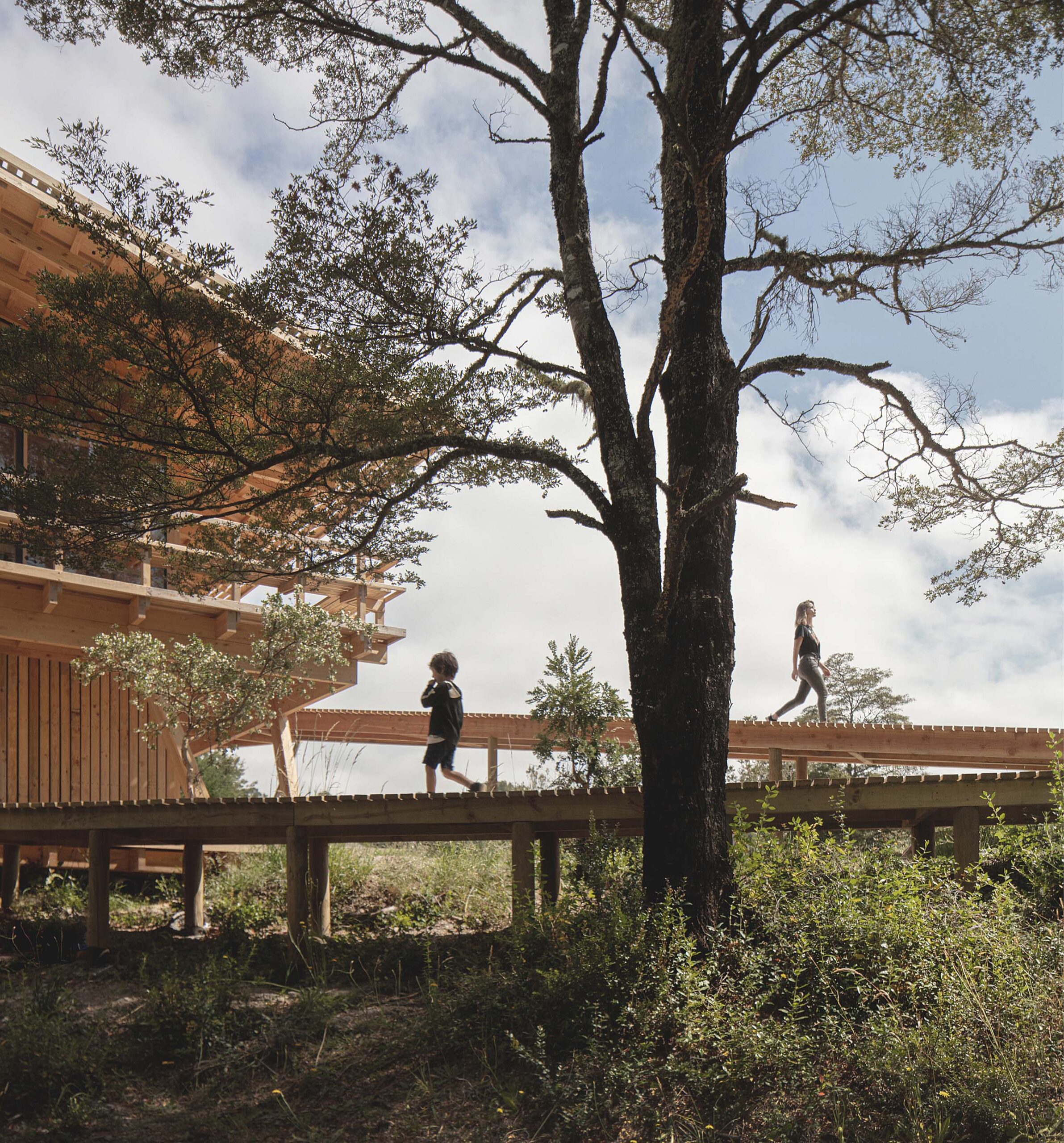 Riñihue House - C3GLOBE