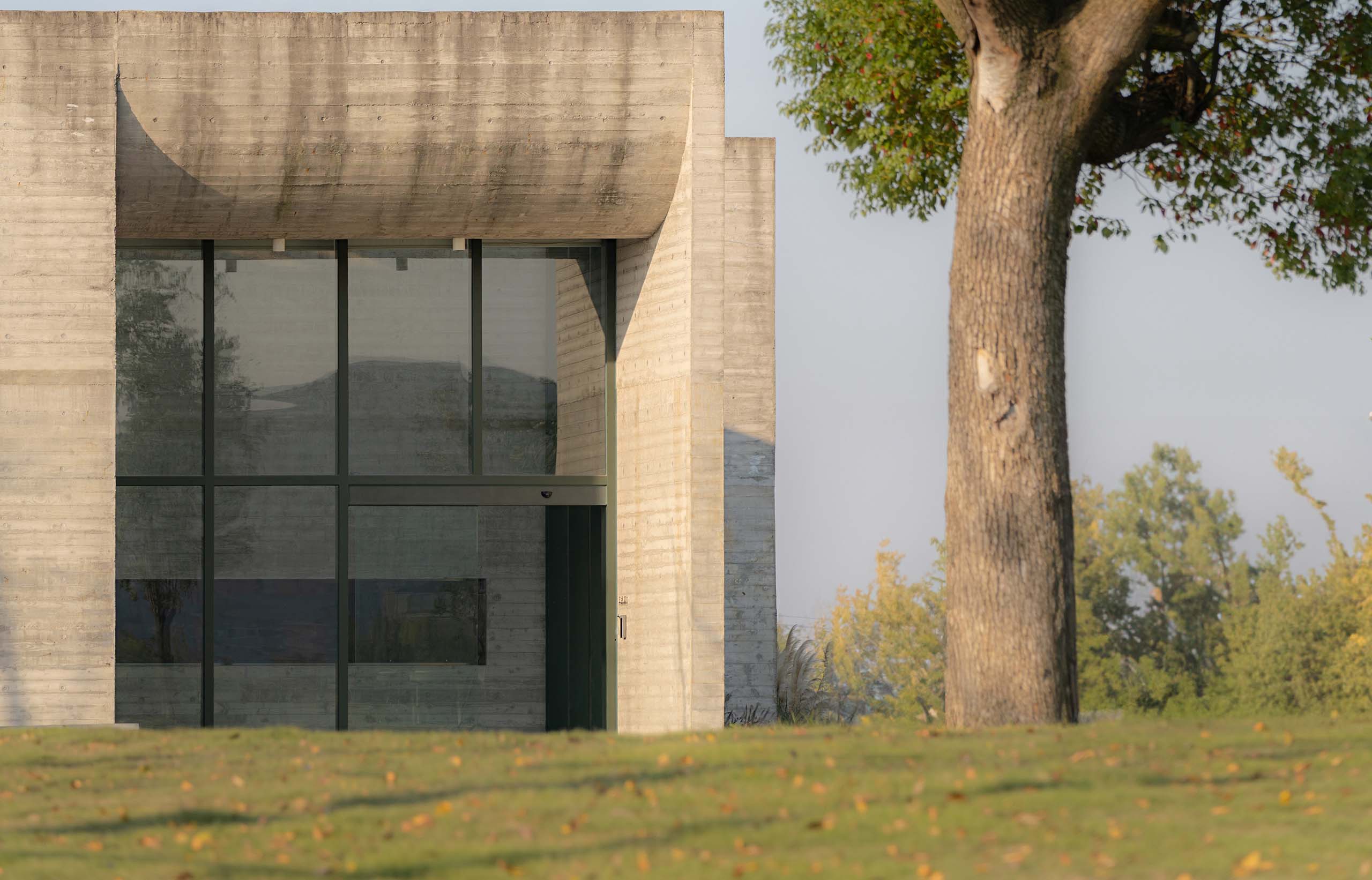 Ginkgo Gallery - C3GLOBE