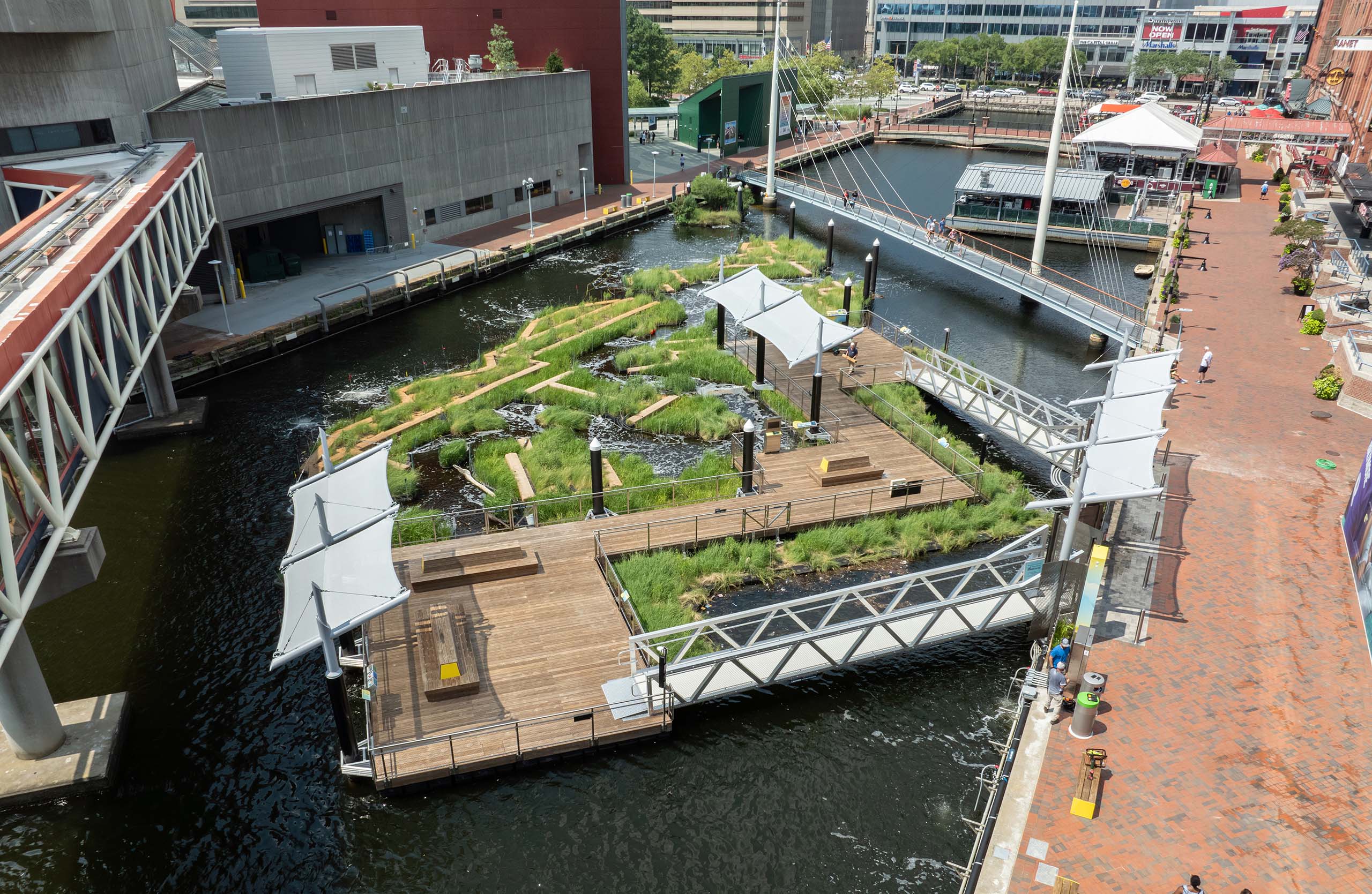 Harbor Wetland - C3GLOBE