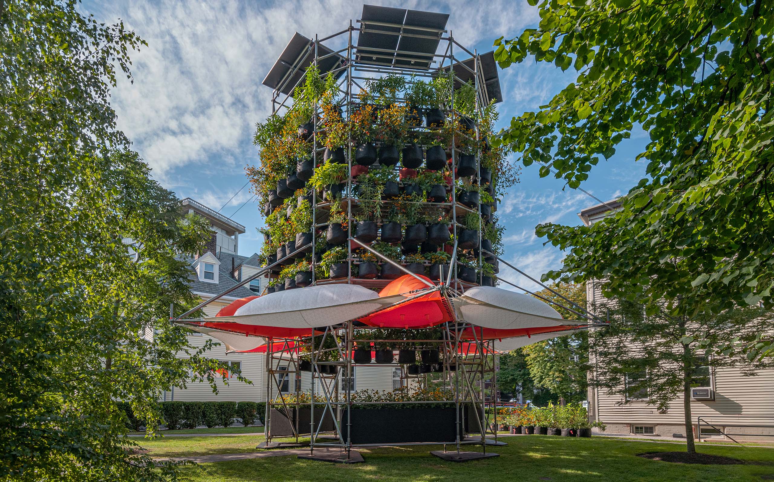 Polinature - C3GLOBE