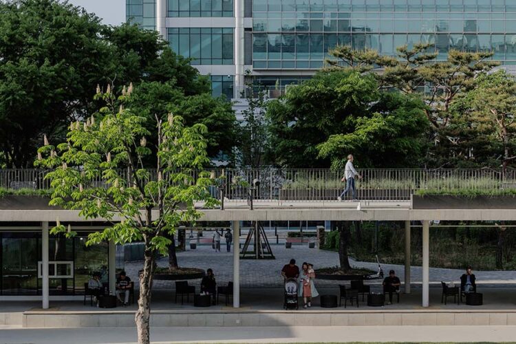 OMOK Park Renovation - C3GLOBE