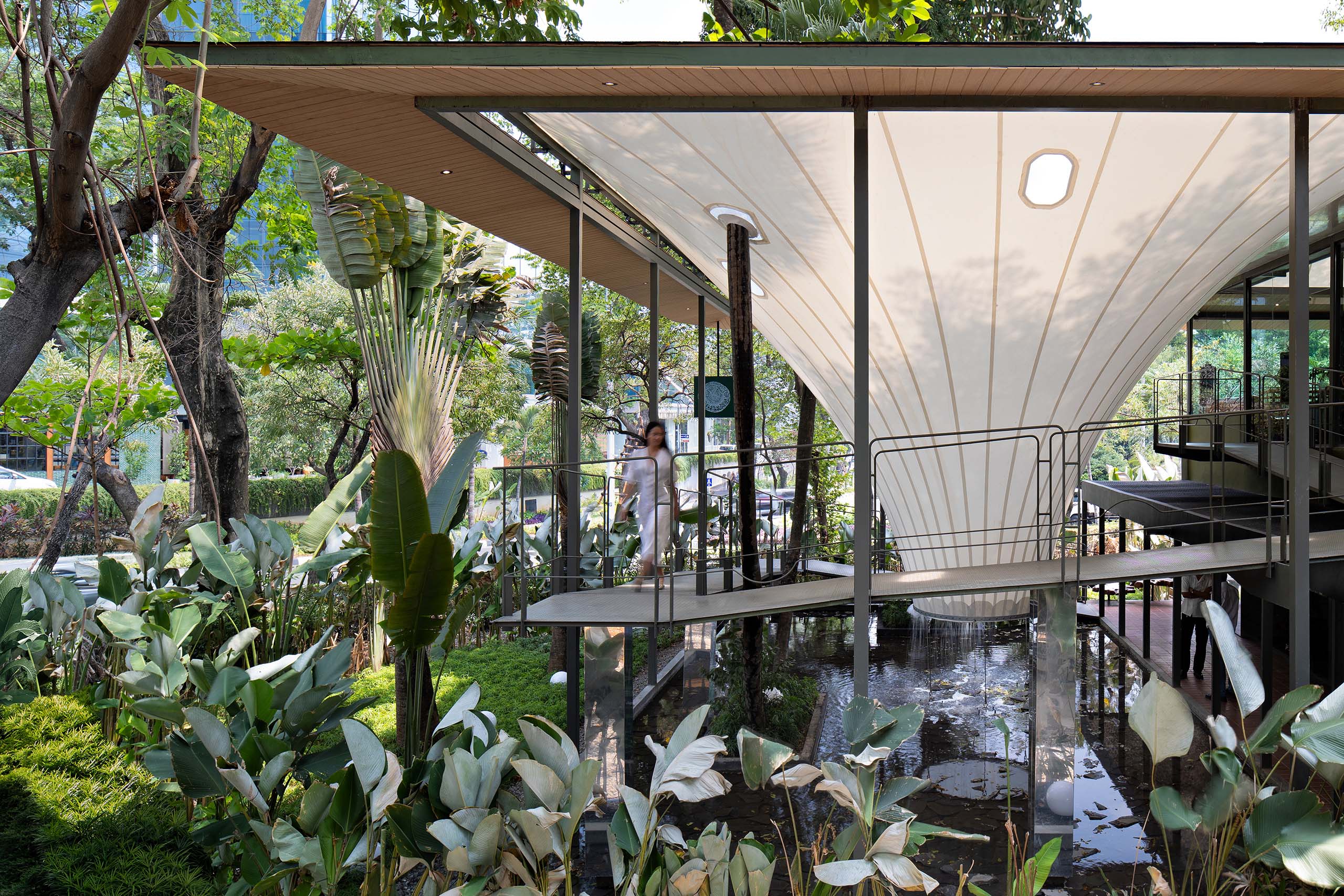 Stalk Tree-hugger - C3GLOBE