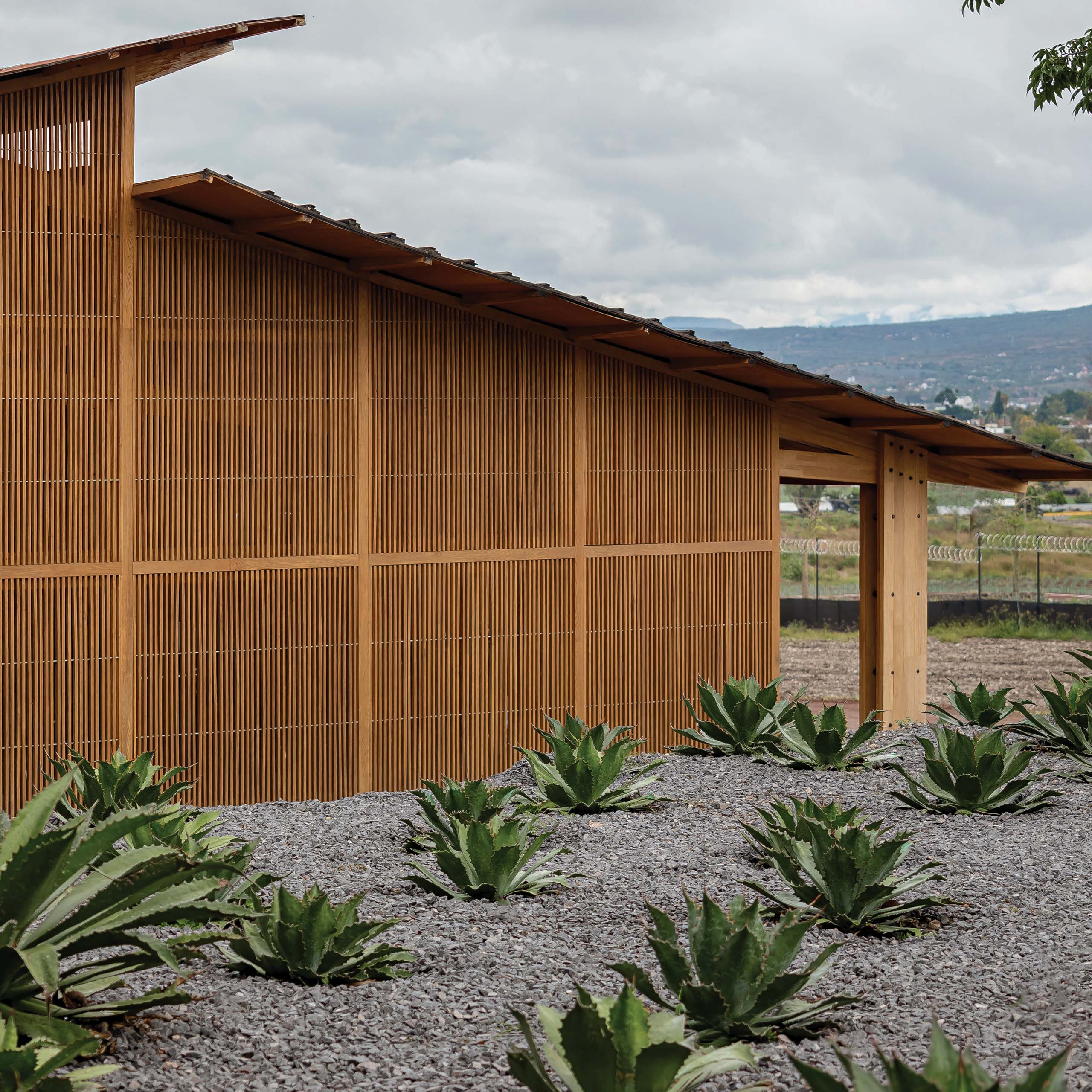 Vinata de Mezcal - C3GLOBE