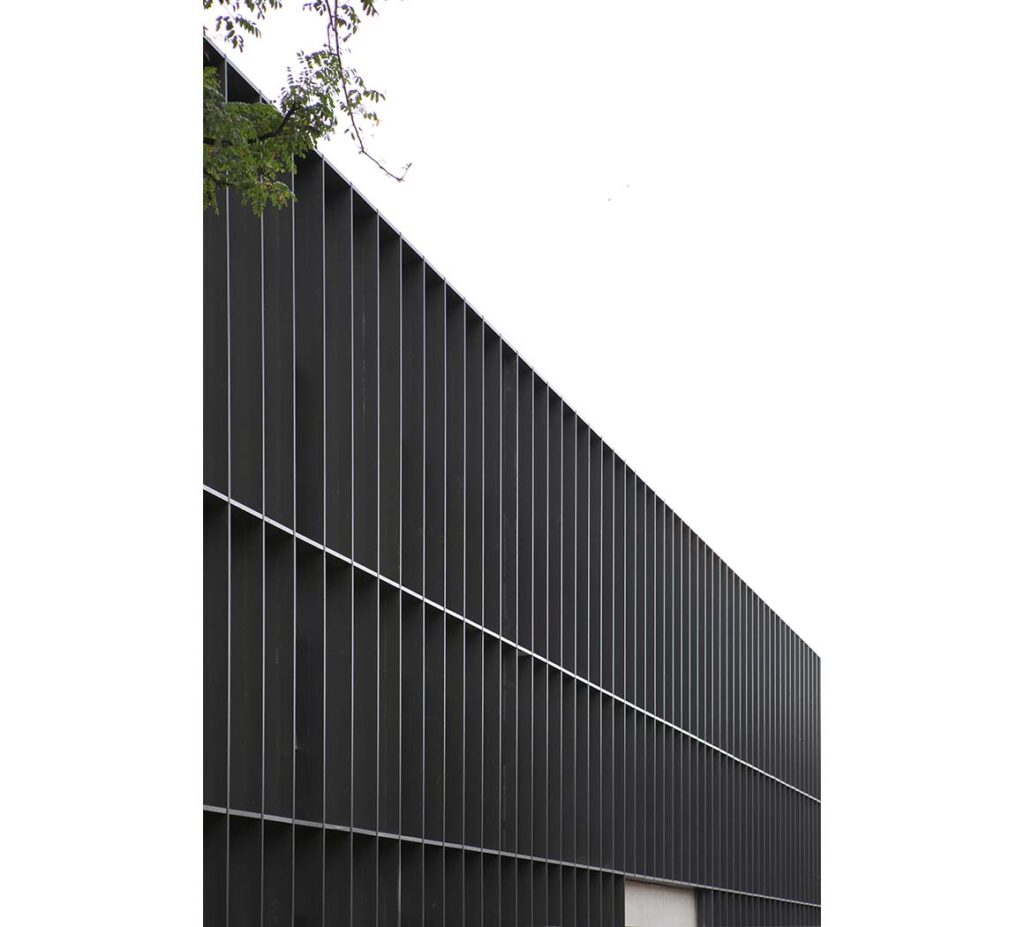 Donghwa Triangle School - C3GLOBE